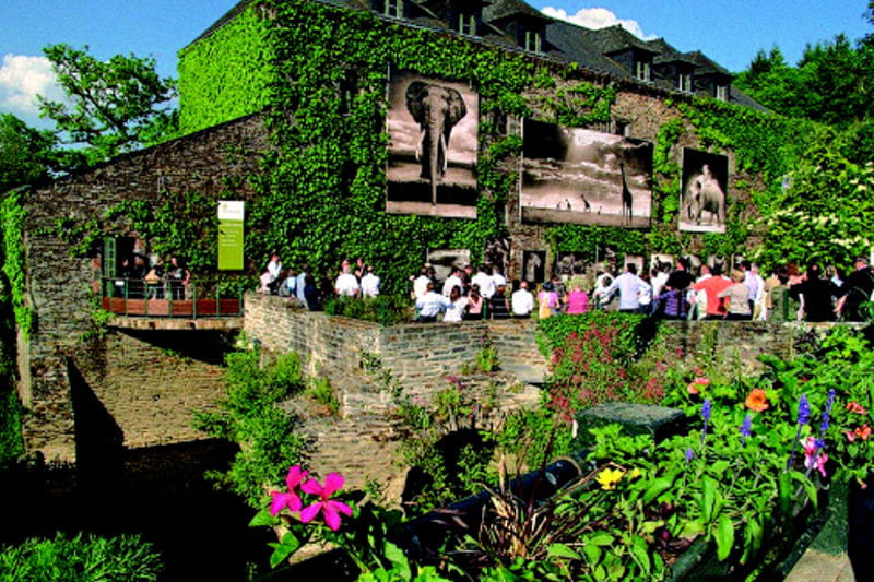 Yves Rocher : festival photos à la Gacilly : Yves Rocher : l'histoire ...